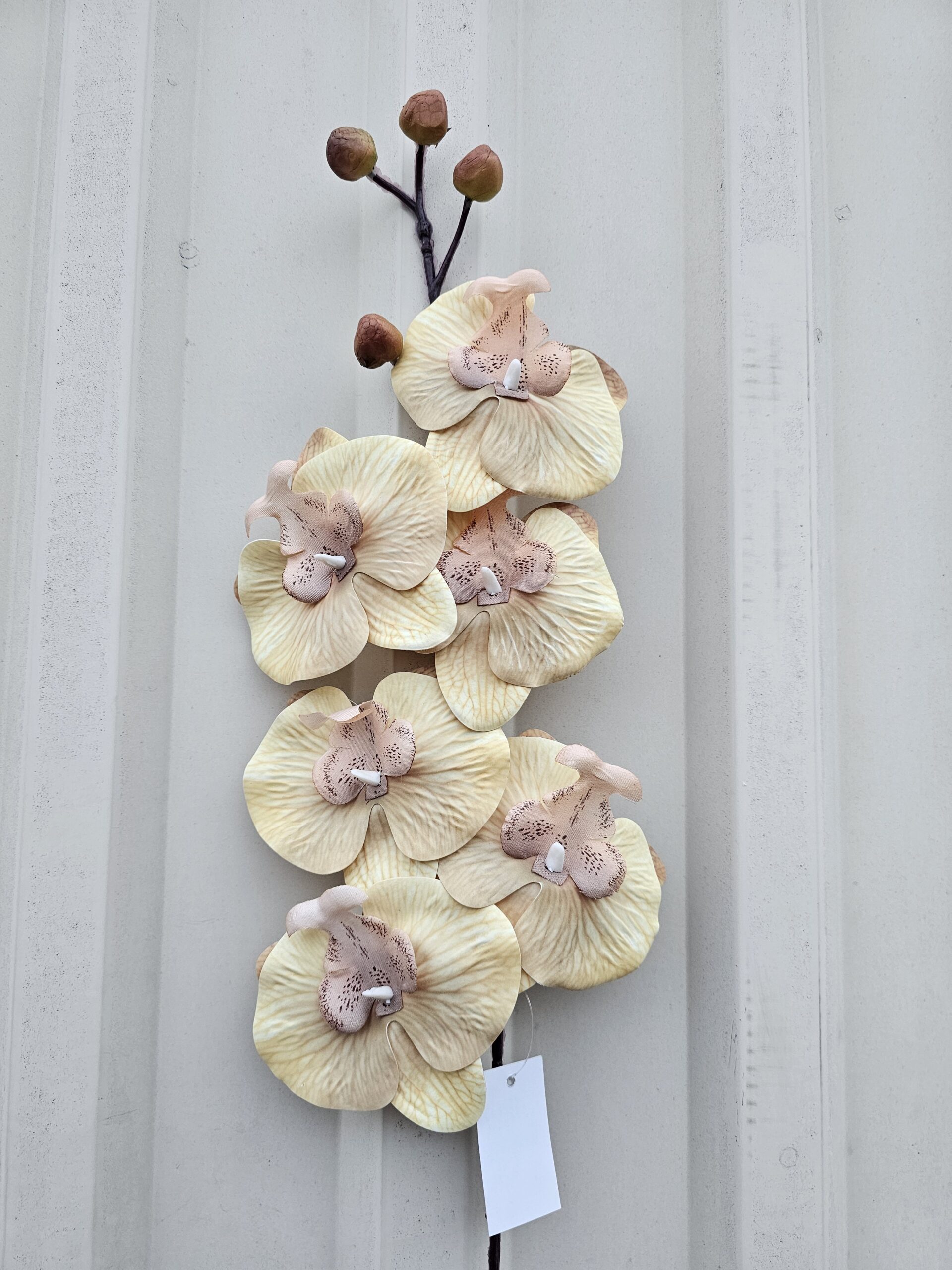 PODRUŽNICA ORHIDEJ – Velikogorički Hrelić